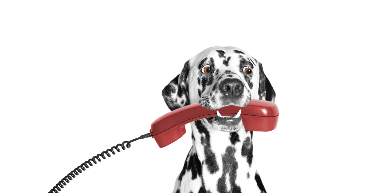 The Benefits of Remote Contact Centres for a Seamless Customer Service ... The Benefits of Remote Contact Centres for a Seamless Customer Service ...